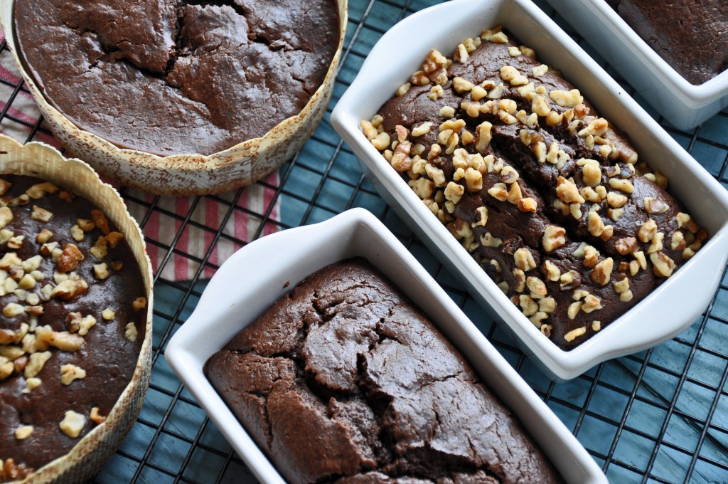 Deep Dark Chocolate Snack Cakes020313006PSE | Sifting Focus