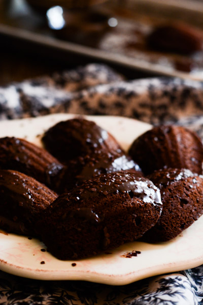 Chocolate Spice Madeleines Recipe | Sifting Focus